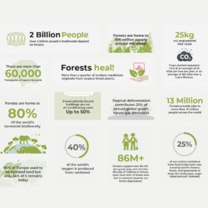 GRI 101 Biodiversity 2024 – Released - SustainabilityKiosk