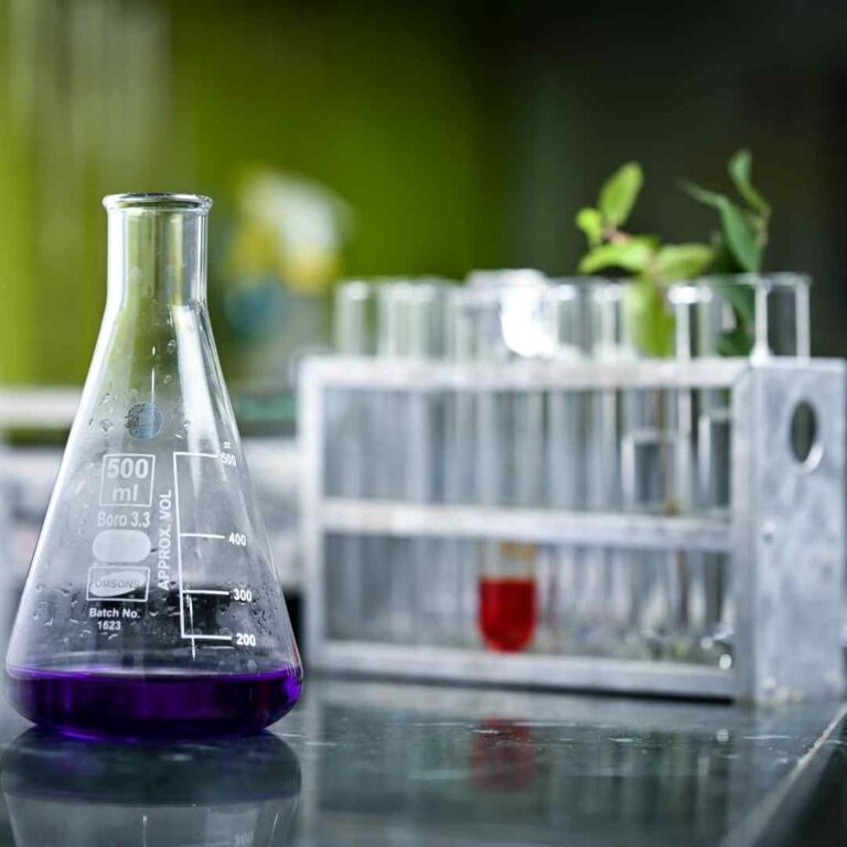 A Guide to Food Waste Monitoring Systems - Sustainability Kiosk